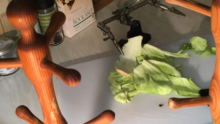 1: The Basics of Animated Movement – Zemni Moving Image